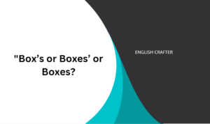 "Box’s or Boxes’ or Boxes?